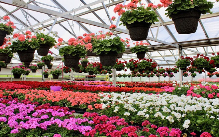 Greenhouse – Culver’s Lawn & Landscape | Garden Center & Greenhouse